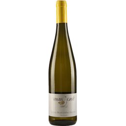 Weingut Eugen Wambsganß Weingut Eugen Wambsganß Gelber Muskateller 2019 Feinherb - Nußdorf Pfalz – Weißwein Qualitätswein