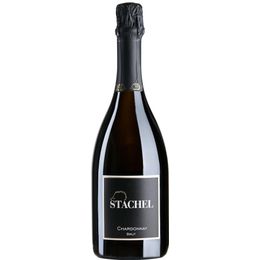 Weingut Erich Stachel Sekt brut Chardonnay 2020 Brut - Pfalz &ndash; Perl- & Schaumwein b.A.