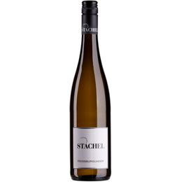 Weingut Erich Stachel Wei&szlig;er Burgunder Kalkmergel Kirrweiler Wei&szlig;burgunder 2025 Trocken - Pfalz &ndash; Wei&szlig;wein Qualit&auml;tswein