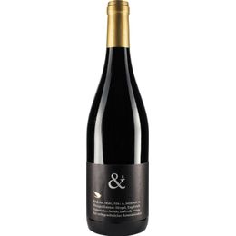 Weingut Zimmer Mengel cuvée "&" Cuvée 2022 Trocken - Rheinhessen – Rotwein Qualitätswein