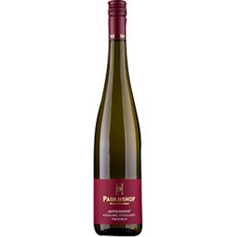 Weingut Paulushof "Rotschiefer" Riesling 2021 Trocken - Steillage Mosel &ndash; Wei&szlig;wein Qualit&auml;tswein