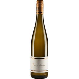 Weingut Bernhart VDP.Gutswein Riesling 2024 Trocken - Pfalz &ndash; Wei&szlig;wein Qualit&auml;tswein