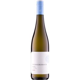 Weingut Wernersbach feinfruchtig Riesling 2024 Feinherb - Rheinhessen &ndash; Wei&szlig;wein Qualit&auml;tswein