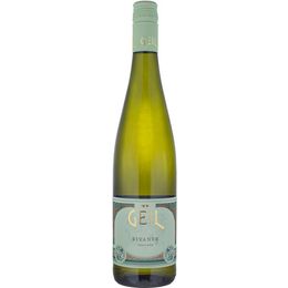 Weingut Geil Rivaner Müller-Thurgau / 2024 Trocken - Rheinhessen – Weißwein Qualitätswein