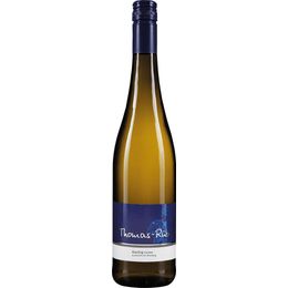 Weingut Thomas-Rüb Weingut Thomas-Rüb Riesling 2024 Trocken - Guntersblumer Steinberg Rheinhessen – Weißwein Qualitätswein
