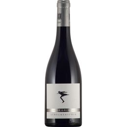 Weingut Siegrist SCHELMENST&Uuml;CK Pinot Noir Sp&auml;tburgunder 2017 Trocken - Pfalz &ndash; Rotwein Qualit&auml;tswein