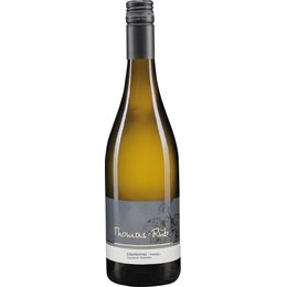 Weingut Thomas-Rüb Weingut Thomas-Rüb -- Chardonnay 2024 Trocken - Ensheimer Kachelberg Rheinhessen – Weißwein Qualitätswein