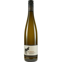 Weingut Michael Bender Grauer Burgunder Grauburgunder 2024 Trocken - Pfalz – Weißwein Qualitätswein