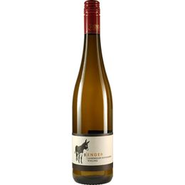Weingut Michael Bender Riesling 2021 Trocken - Rothenberg Pfalz – Weißwein Qualitätswein
