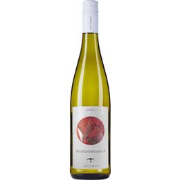 Weingut Axel Schmitt Weißer Burgunder Weißburgunder 2024 Trocken - Rheinhessen – Weißwein Qualitätswein