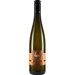 Weingut Mehl "Authentico" Riesling 2021 Trocken - Rheingau &ndash; Wei&szlig;wein Qualit&auml;tswein