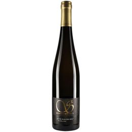 Weingut Schneiderfritz "Steingebiss" Riesling 2016 Trocken - Appenhofener Steingebiss Pfalz &ndash; Wei&szlig;wein Sp&auml;tlese