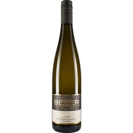 Weingut Johann P. Beyer Kollektion J.P.B. Sauvignon Blanc 2024 Trocken - Rheinhessen &ndash; Wei&szlig;wein Qualit&auml;tswein