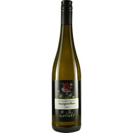 Weingut H&auml;u&szlig;er Weingut H&auml;u&szlig;er INSTINKT Sauvignon Blanc 2023 Trocken - Hertmannsweiler Himmelreich W&uuml;rttemberg &ndash; Wei&szlig;wein Qualit&auml;tswein