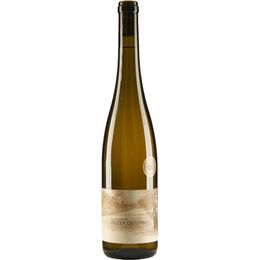 Weingut Bürgermeister Adam Schmitt Weingut Bürgermeister Adam Schmitt Riesling 2013 Halbtrocken - Selzer Osterberg Rheinhessen – Weißwein Auslese