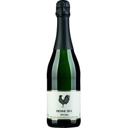 Weinhaus Franz Hahn Sekt Riesling Trocken - Pfalz – Perl- & Schaumwein b.A.