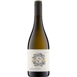 Weingut Schenk-Siebert Grauer Burgunder Grauburgunder 2023 Trocken - Pfalz – Weißwein Qualitätswein