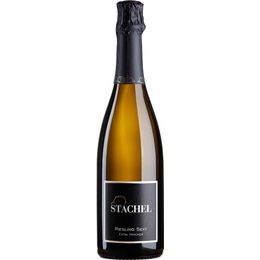 Weingut Erich Stachel Sekt Riesling 2020 Trocken - Pfalz – Perl- & Schaumwein b.A.