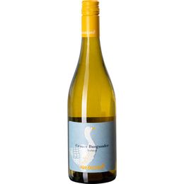 Weingut Eugen Wambsganß Weingut Eugen Wambsganß Grauer Burgunder Grauburgunder 2024 Trocken - Nußdorf Pfalz – Weißwein Qualitätswein