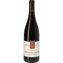 Weingut Brenneis-Koch Sp&auml;tburgunder 2018 Trocken - D&uuml;rkheimer Feuerberg Pfalz &ndash; Rotwein Qualit&auml;tswein