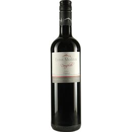 Weingut Ernst Molitor Dornfelder 2021 Trocken - Dettelbacher Honigberg Franken &ndash; Rotwein Qualit&auml;tswein