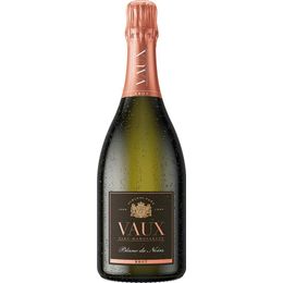 Schloss Vaux Blanc de Noirs SEKT brut Sp&auml;tburgunder 2022 Brut - Rheingau &ndash; Perl- & Schaumwein Sekt b.A.