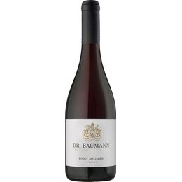 Weingut Dr. Baumann Pinot Meunier Schwarzriesling 2020 Trocken - Selektion aus Einzellagen Württemberg – Rotwein Qualitätswein