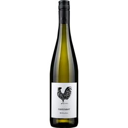 Weinhaus Franz Hahn Chardonnay 2023 Halbtrocken - Pfalz – Weißwein Qualitätswein