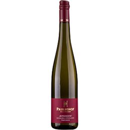 Weingut Paulushof "Grauschiefer" Steilagen Riesling 2020 Feinherb - Mosel – Weißwein Qualitätswein