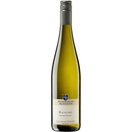 Winzerverein Deidesheim Riesling 2024 Feinherb - Ruppertsberger Reiterpfad Pfalz &ndash; Wei&szlig;wein Qualit&auml;tswein
