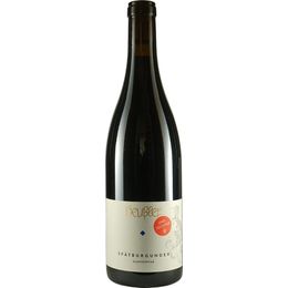 Weingut J&uuml;rgen Heu&szlig;ler Klosterpfad Sp&auml;tburgunder 2022 Trocken - Rhodter Pfalz &ndash; Rotwein Qualit&auml;tswein