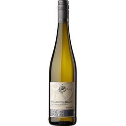 Weingut Karl Wegner D&uuml;rkheim Sauvignon Blanc 2023 Trocken - Pfalz &ndash; Wei&szlig;wein Qualit&auml;tswein