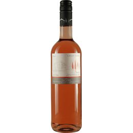 Weingut Ernst Molitor Sp&auml;tburgunder 2022 Trocken - Dettelbacher Honigberg Franken &ndash; Ros&eacute; Landwein Main