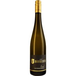 Weingut Martin Bangerth Fum&eacute; Sauvignon Blanc 2021 Trocken - M&uuml;hlhofener Rosenberg Pfalz &ndash; Wei&szlig;wein Qualit&auml;tswein
