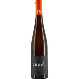 Weingut Engel Albrecht Nieder Fl&ouml;rsheimer Frauenberg Riesling 2018 Trocken - Rheinhessen &ndash; Wei&szlig;wein Qualit&auml;tswein