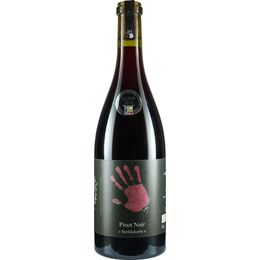 BIO Weingut Lay Pinot Noir Reserve Steih&auml;ckerle Sp&auml;tburgunder 2023 Trocken - Baden &ndash; Rotwein Badischer Landwein