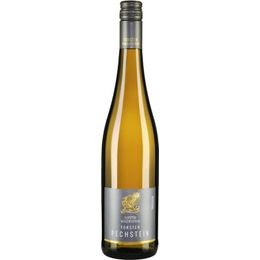 Forster Winzerverein Riesling 2024 Trocken - Pechstein Pfalz &ndash; Wei&szlig;wein Qualit&auml;tswein