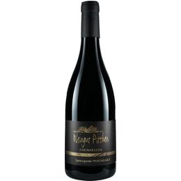 Weingut Pitthan Sp&auml;tburgunder "Muschelkalk" Blauer 2015 Trocken - Rheinhessen &ndash; Rotwein Qualit&auml;tswein