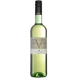 Weingut Kn&ouml;ll & Vogel Weingut Kn&ouml;ll & Vogel Cuv&eacute;e "Kleiner Vogel" 2024 Feinherb - Pfalz &ndash; Wei&szlig;wein Qualit&auml;tswein