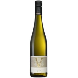 Weingut Kn&ouml;ll & Vogel Weingut Kn&ouml;ll & Vogel Classic Riesling 2025 Trocken - Pfalz &ndash; Wei&szlig;wein Qualit&auml;tswein