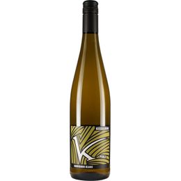 Weingut Lukas Kesselring Sauvignon Blanc 2025 Trocken - Pfalz &ndash; Wei&szlig;wein Qualit&auml;tswein