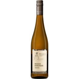 Winzer der Rheinhessischen Schweiz Weißer Burgunder Weißburgunder 2024 Trocken - Rheinhessen – Weißwein Qualitätswein