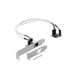 Delock Mini PCIe I/O PCIe half size 1 x Gigabit LAN Low Profile, LAN-Adapter