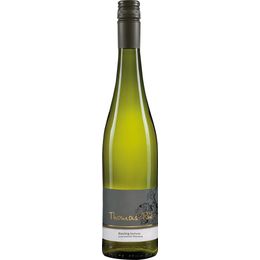Weingut Thomas-Rüb Weingut Thomas-Rüb Riesling 2024 Feinherb - Schornsheimer Ritterberg Rheinhessen – Weißwein Qualitätswein