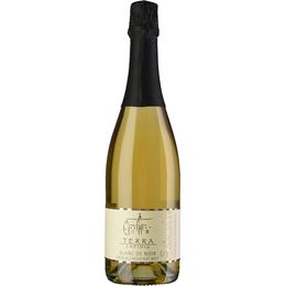 Wein- und Sektgut Heinz Schneider Terra Lapidis Blanc de Noir Sekt brut Spätburgunder 2018 Brut - Mosel – Perl- & Schaumwein b.A.