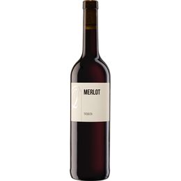 Weingut Quint Merlot 2022 Trocken - Mosel – Rotwein Qualitätswein