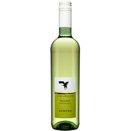 Weingut Geier KUMPAN Rivaner feinfruchtig M&uuml;ller-Thurgau / 2023 Feinherb - K&ouml;nigheimer Kirchberg Baden &ndash; Wei&szlig;wein Qualit&auml;tswein