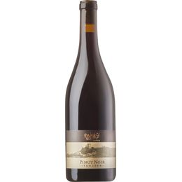 Weingut Dahms Dahms 2018 Pinot Noir - Großer Wein trocken