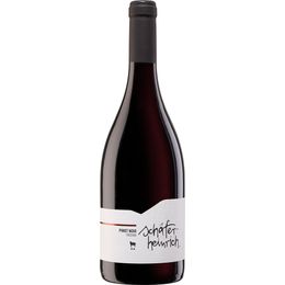 &Ouml;kologisches Weingut Sch&auml;fer-Heinrich Pinot Noir ** Sp&auml;tburgunder 2023 Trocken - Heilbronner Stiftsberg W&uuml;rttemberg &ndash; Rotwein Qualit&auml;tswein