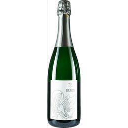 weingut armin braun "Handmade with Love" brut Riesling 2019 Brut - Pfalz &ndash; Perl- & Schaumwein Sekt